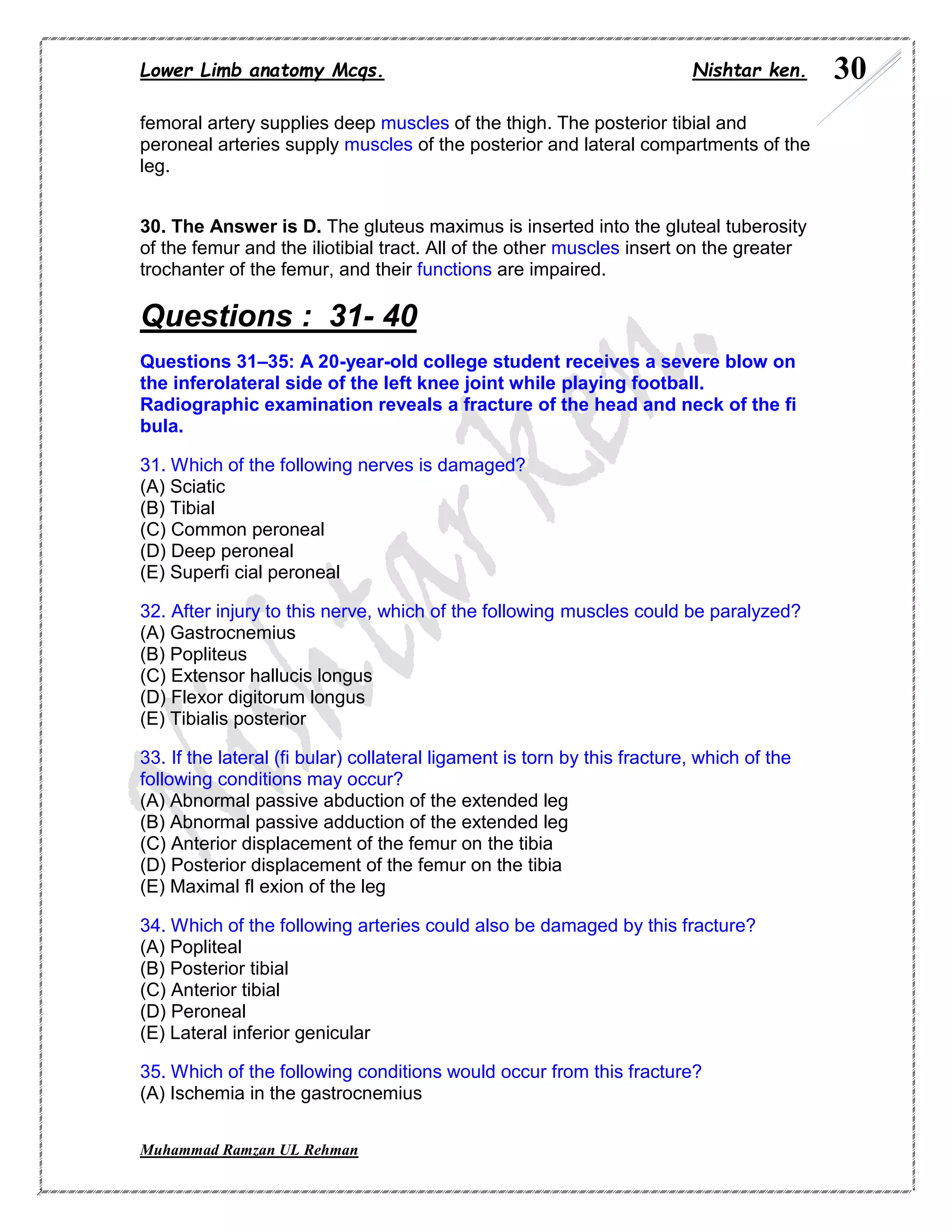 Lower limb MCQs | PDF