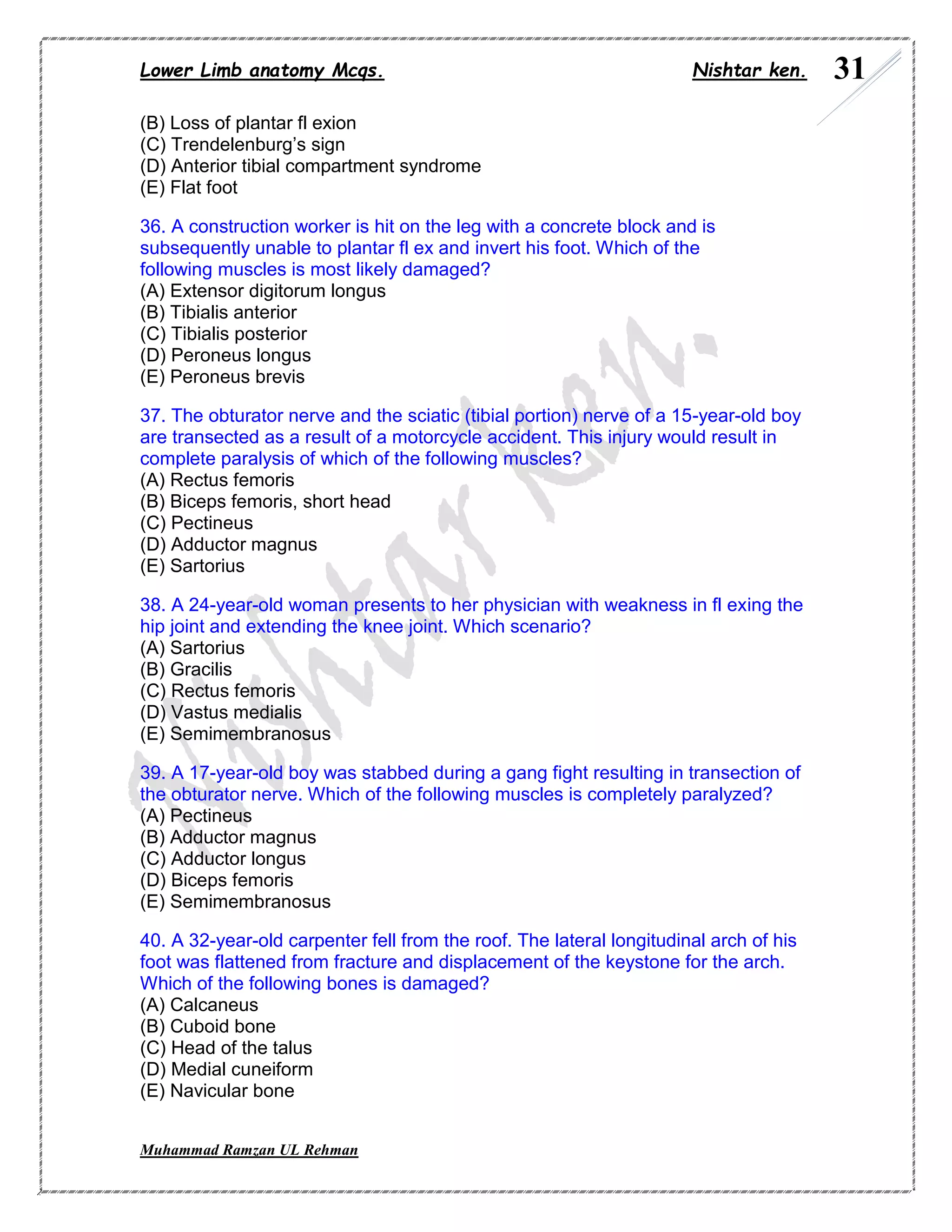 Lower limb MCQs | PDF