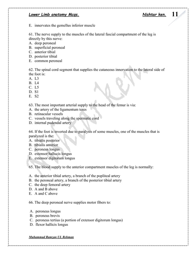 Lower limb MCQs | PDF