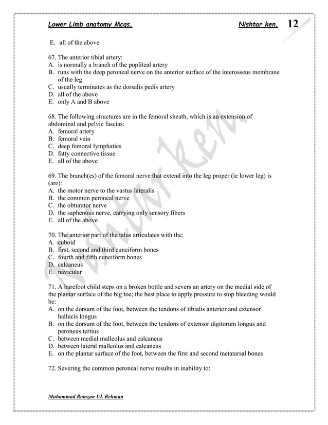 Lower limb MCQs | PDF