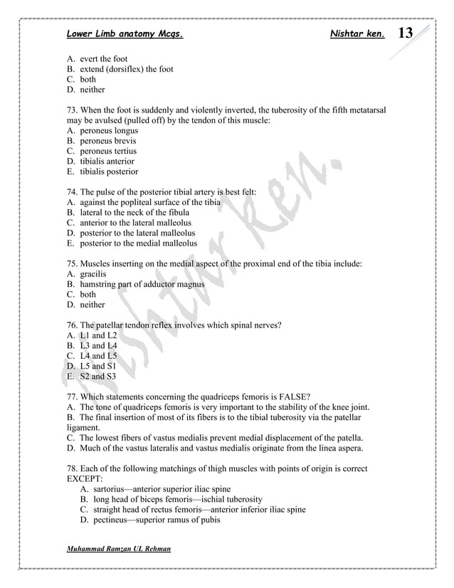 Lower limb MCQs | PDF