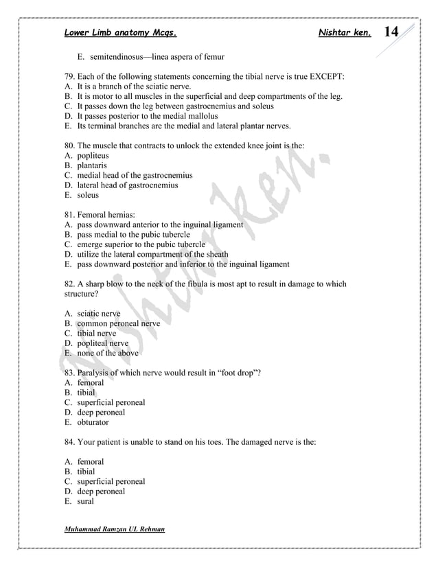 Lower limb MCQs | PDF