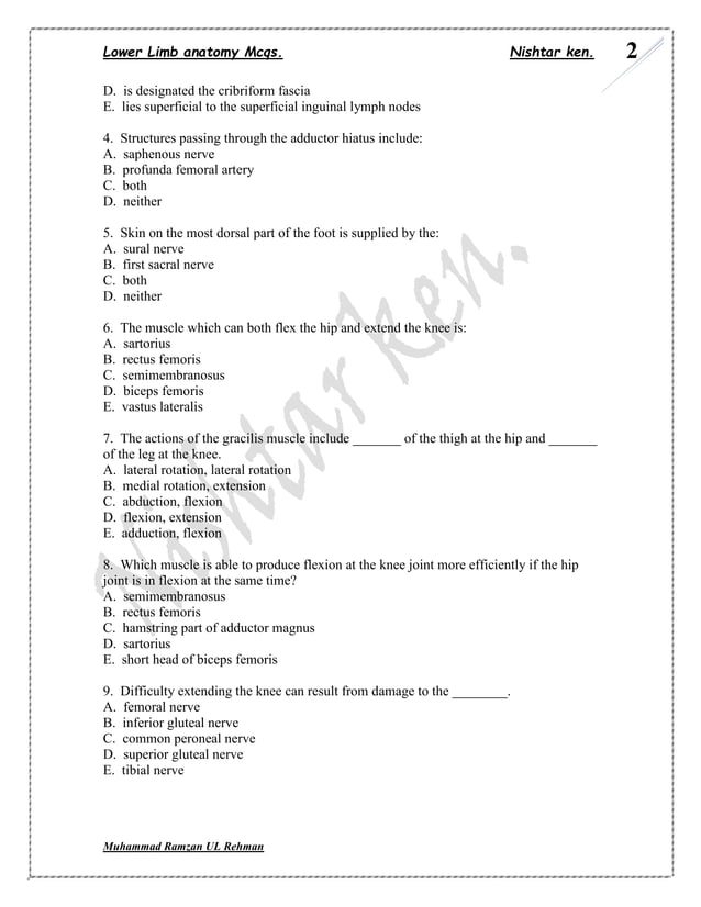 Lower limb MCQs | PDF