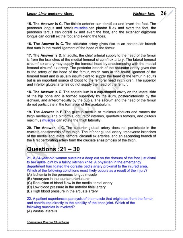 Lower limb MCQs | PDF