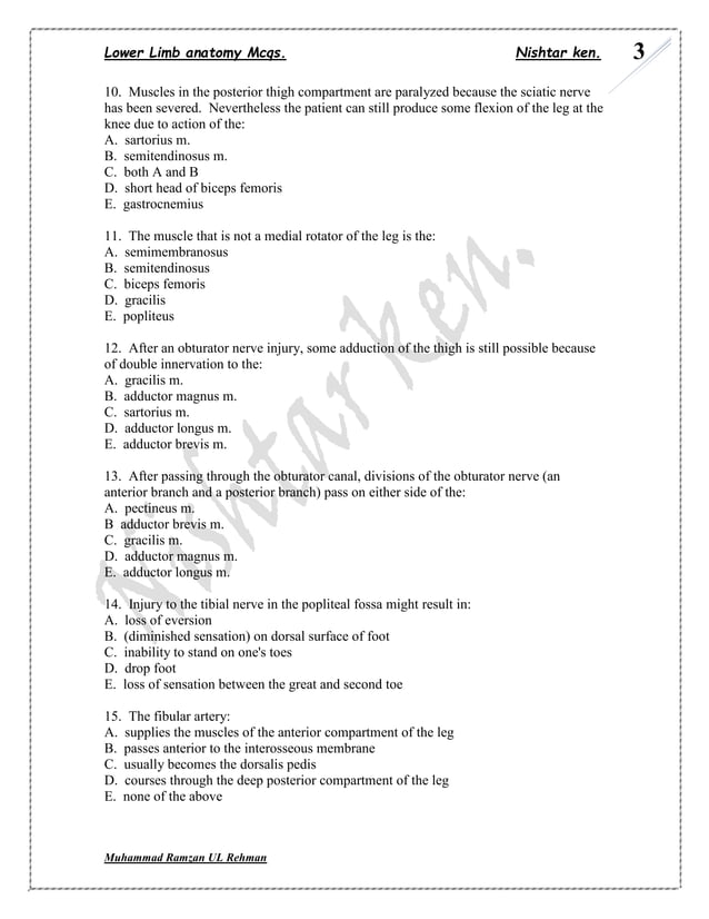 Lower limb MCQs | PDF