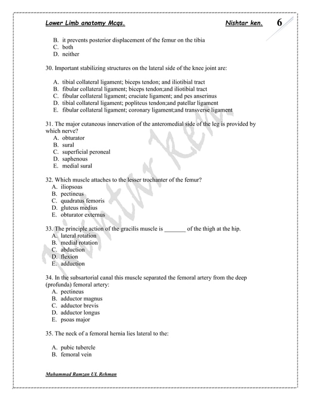 Lower limb MCQs | PDF