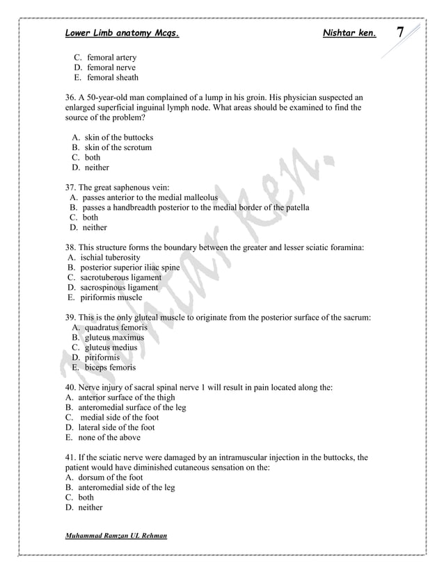 Lower limb MCQs | PDF