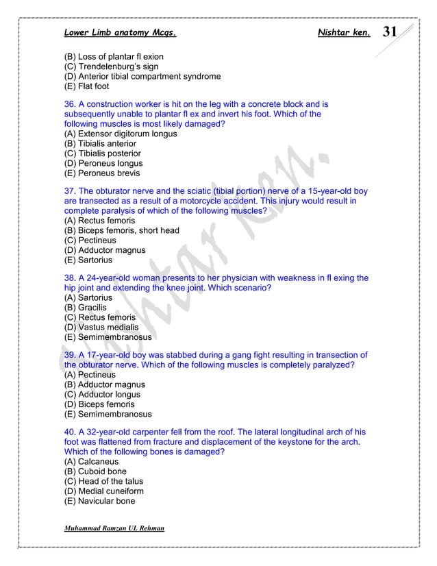 Lower limb MCQs | PDF