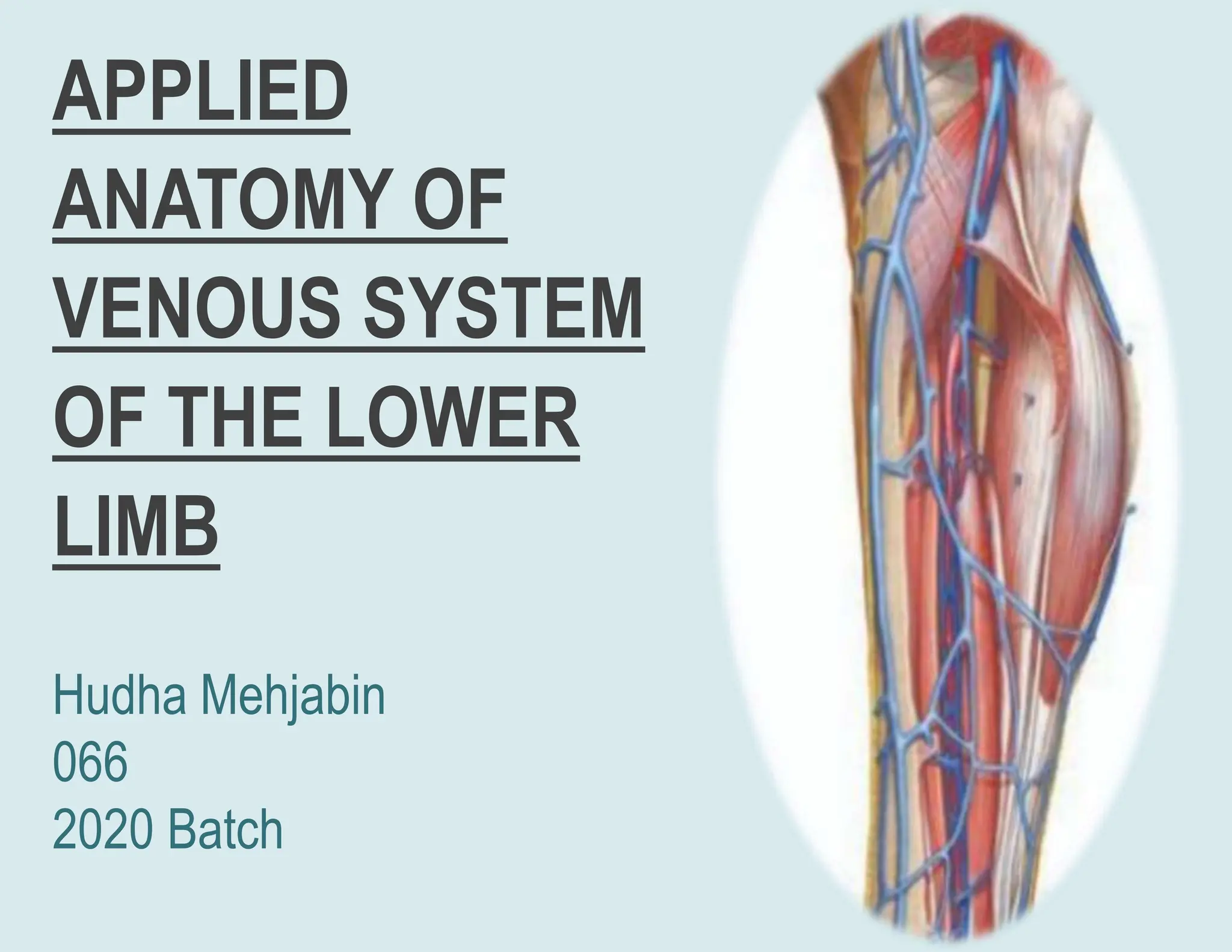 Lower Limb veins Anatomy Venous drainage of Lower lim.pptx