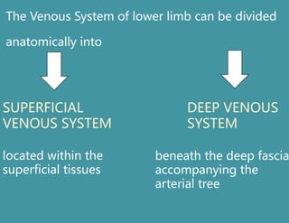 Lower Limb veins Anatomy Venous drainage of Lower lim.pptx
