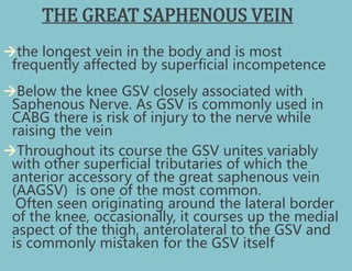 Lower Limb veins Anatomy Venous drainage of Lower lim.pptx