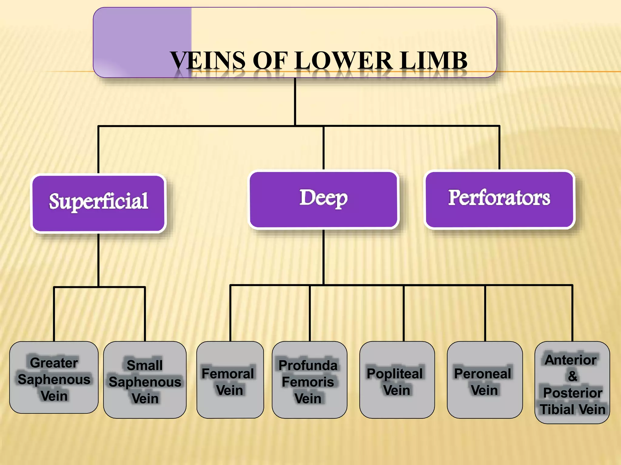Venous Doppler Lower limb Dr Mukesh Tilgam | PPTX