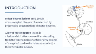 Spinal cord disease and Lower motor neurone disorders in Paediatrics | PDF