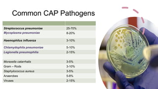 Lower Respiratory Infections (Pneumonia).pptx