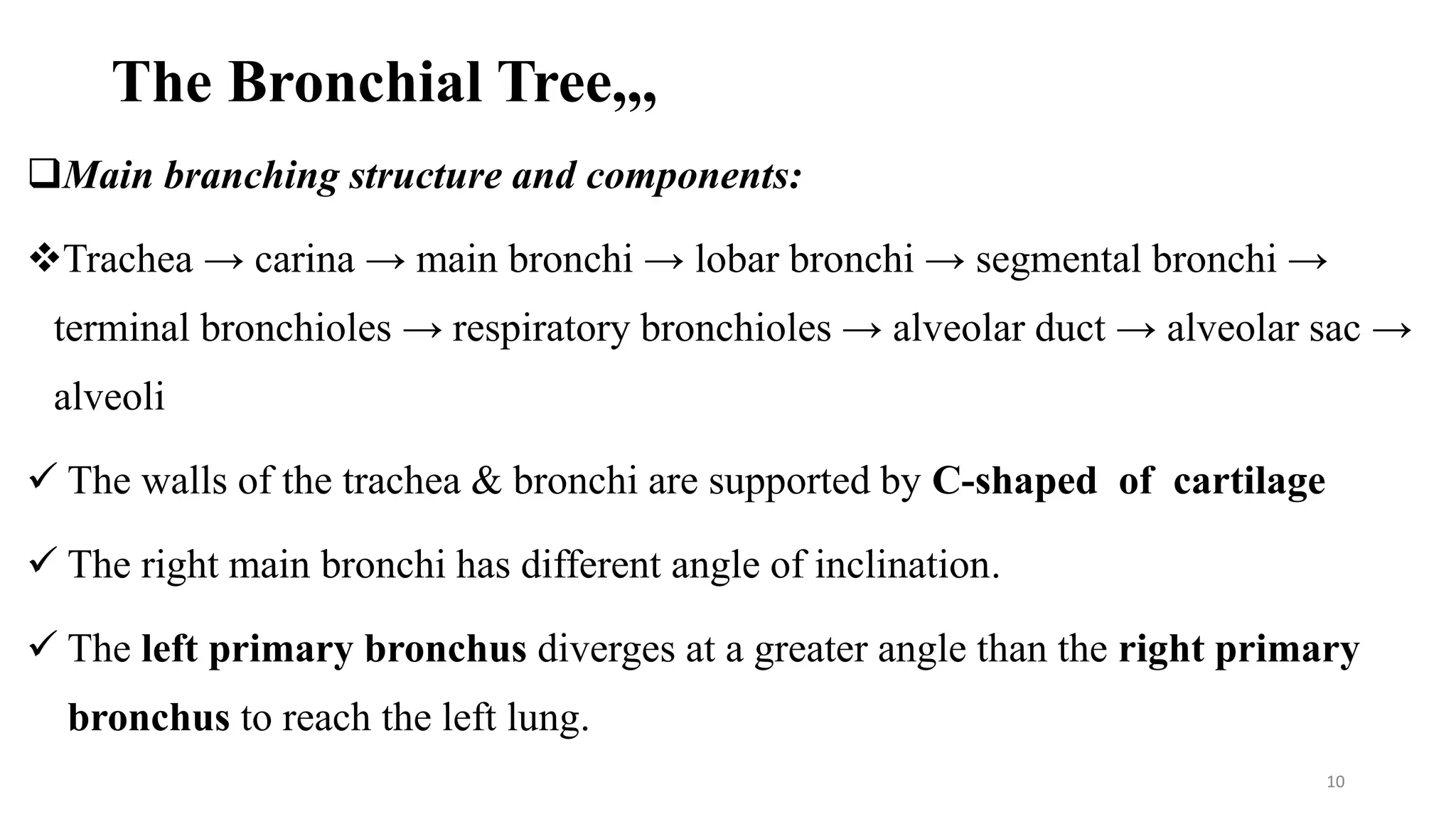 Lower respiratory tract (2).pdf