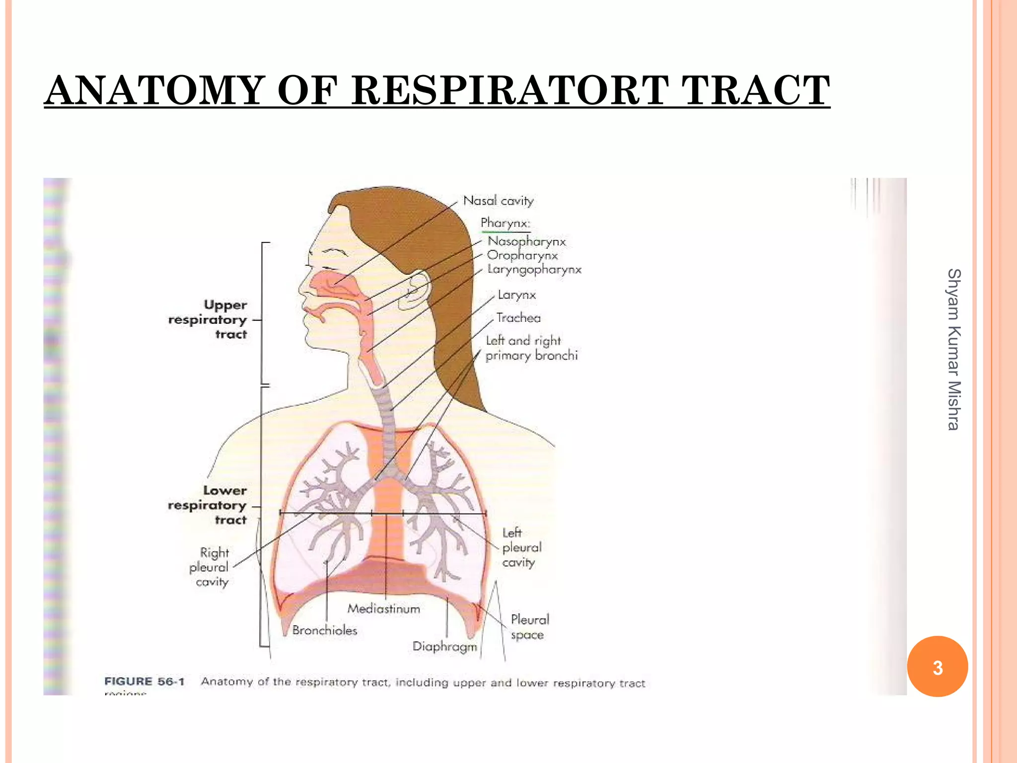 Laboratory diagnosis of Lower respiratory tract infection including ...