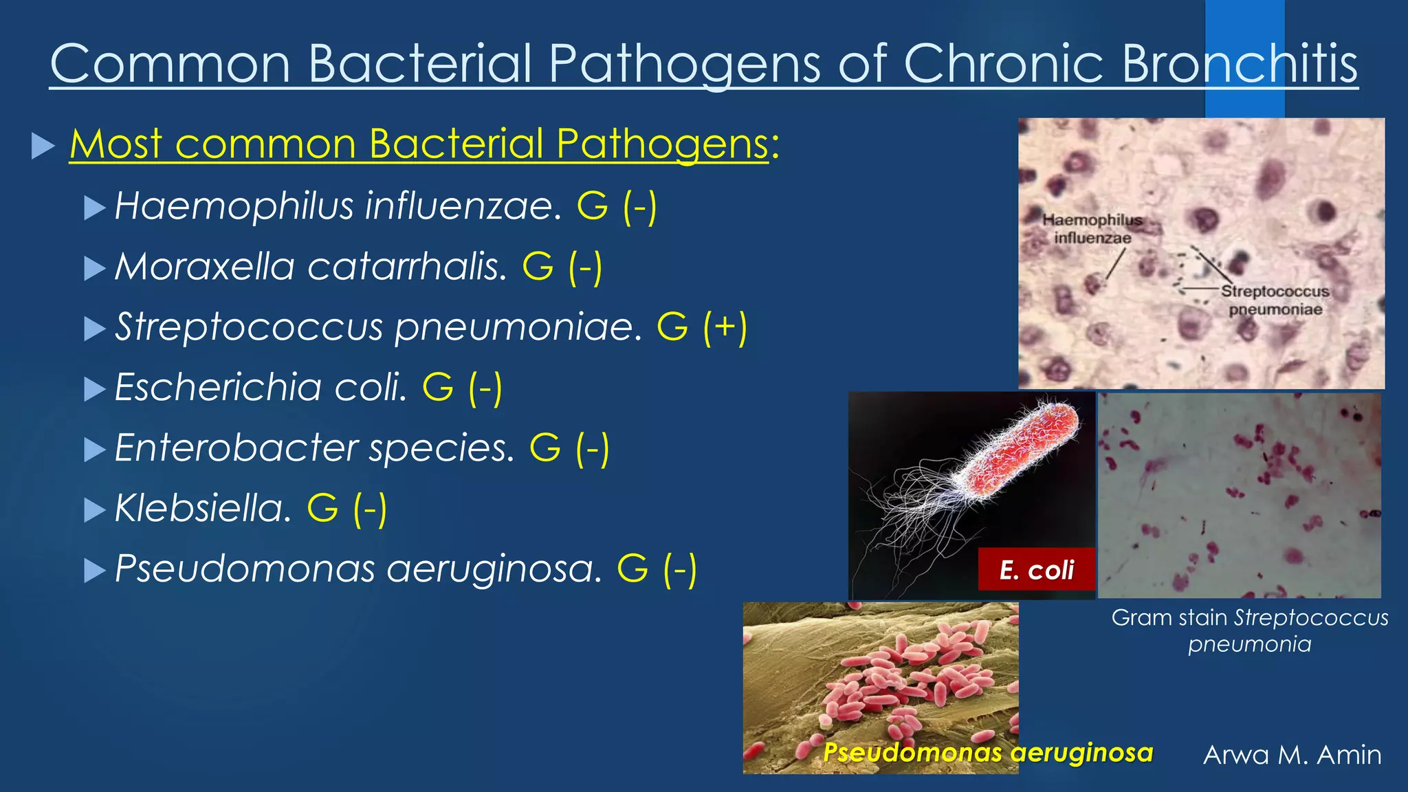 Bronchitis: An overview | PDF