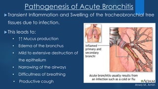 Bronchitis: An overview | PPT