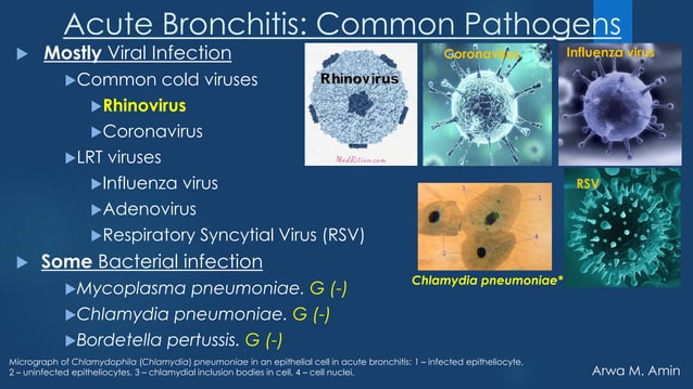 Bronchitis: An overview | PPT