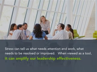 Stress Free Leadership | PDF