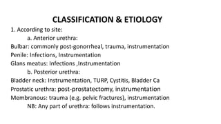 Lower urinary tract disorders kemboi | PPTX