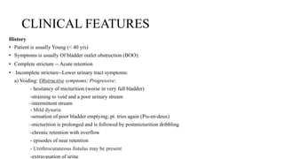 Lower urinary tract disorders kemboi | PPTX