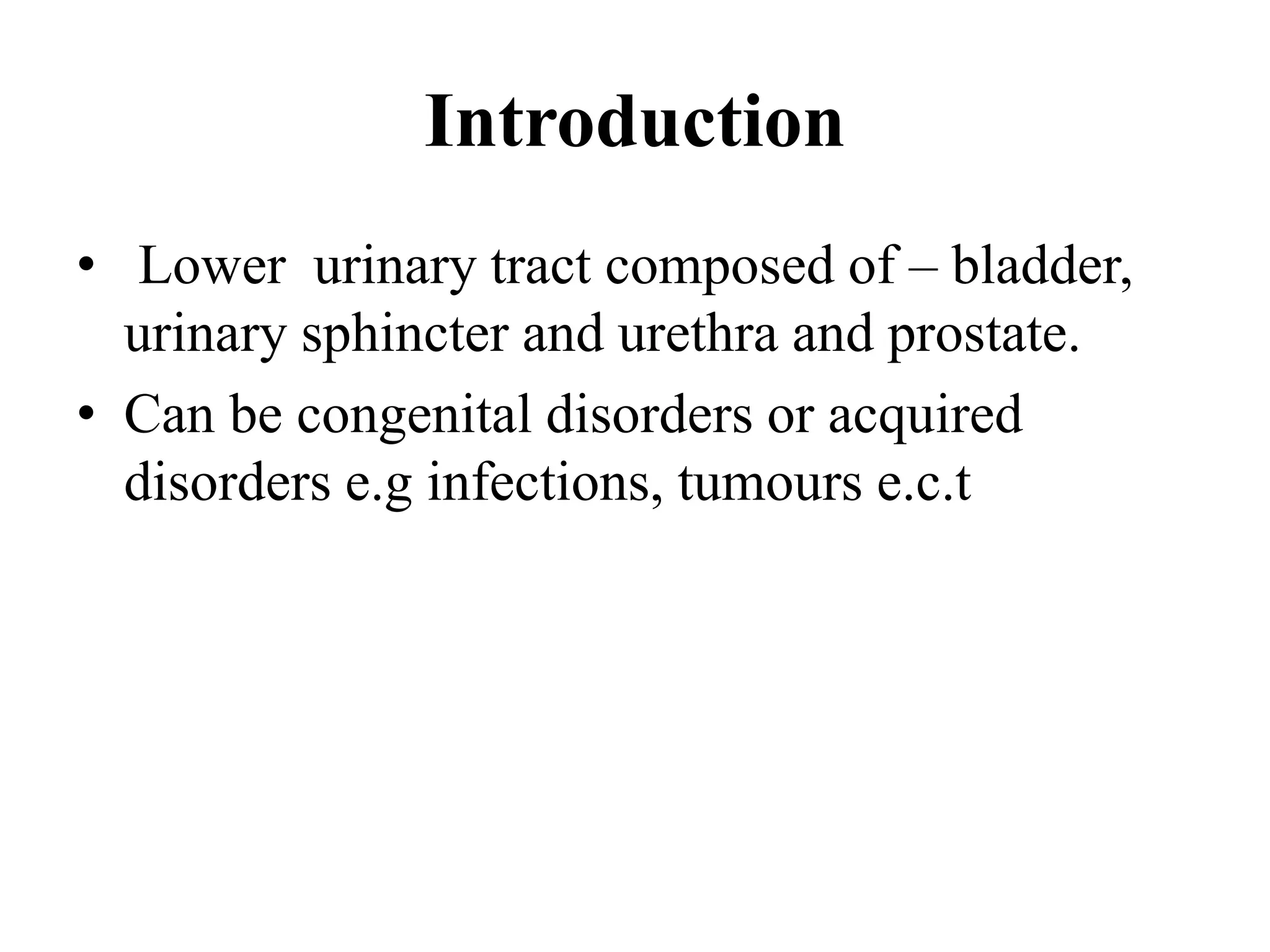 Lower urinary tract infection | PPTX