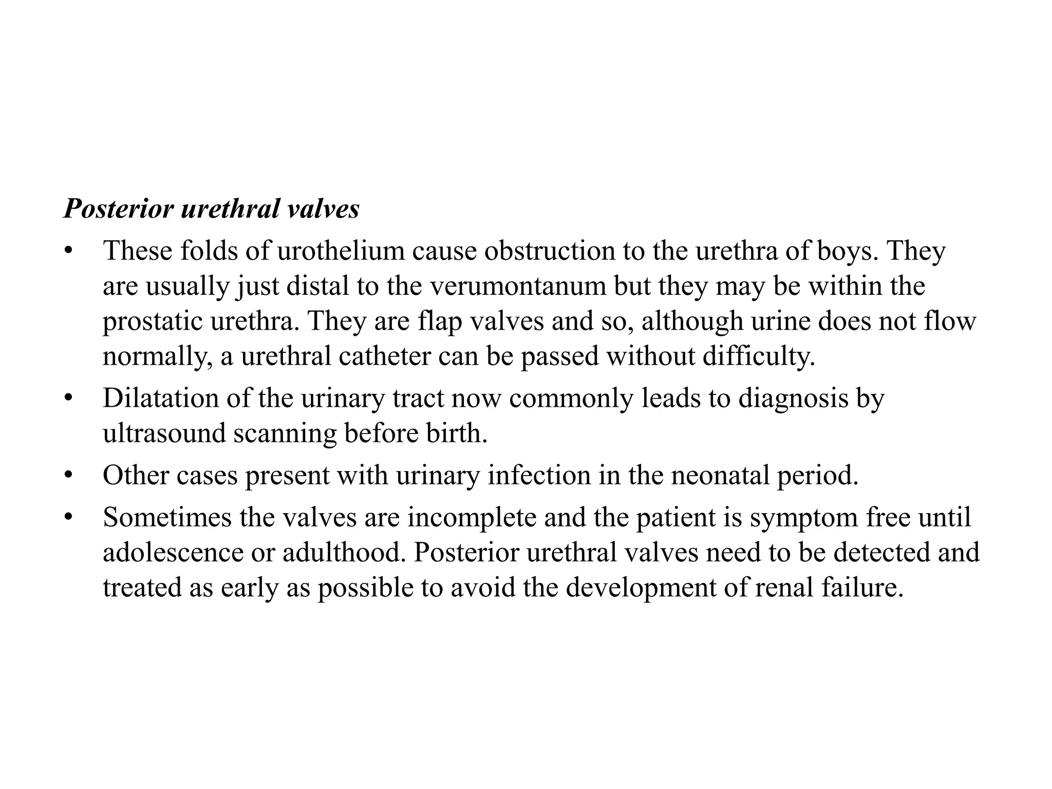 Lower urinary tract infection | PPTX