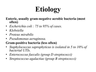 Lower urinary tract infection | PPTX