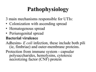 Lower urinary tract infection | PPTX