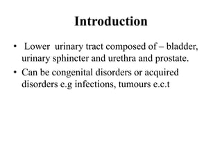 Lower urinary tract infection | PPTX