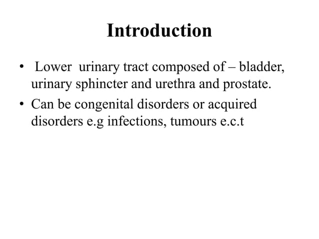 Lower urinary tract infection | PPTX