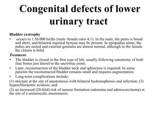 Lower urinary tract infection | PPTX