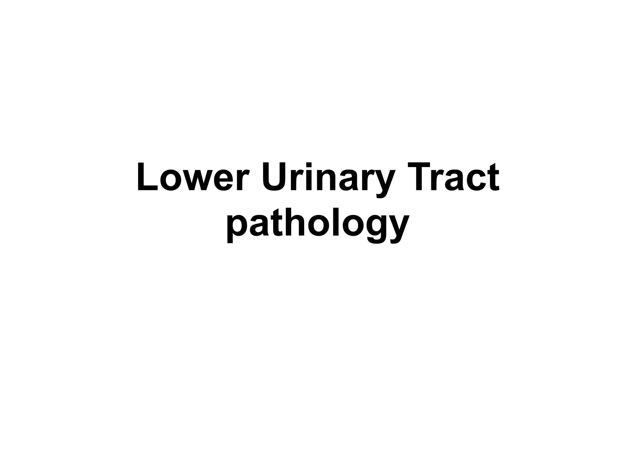 Lower Urinary Tract pathology.ppt