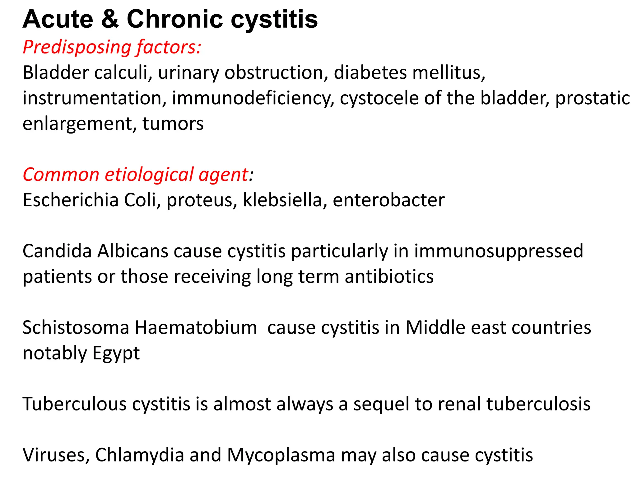 Lower Urinary Tract pathology.ppt