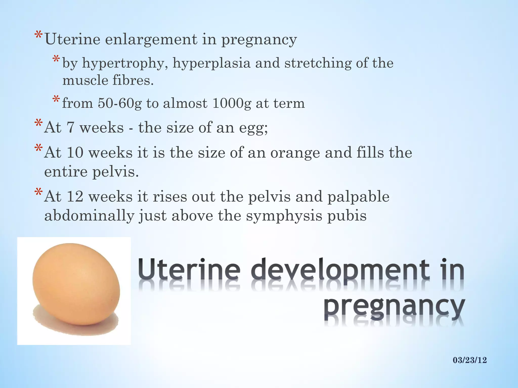 Lower uterine segment | PPT