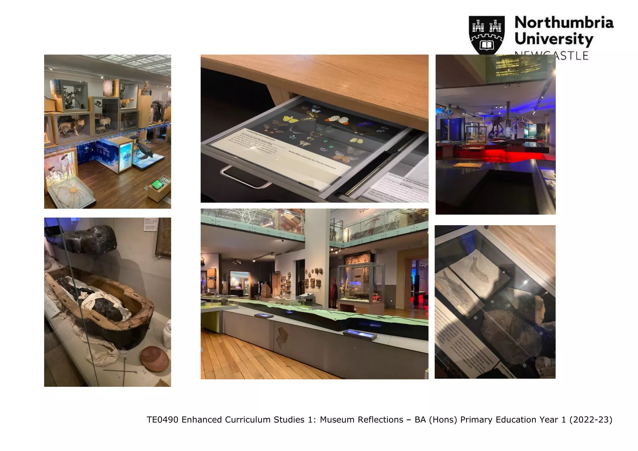 Museum visit Reflective Proforma | PDF
