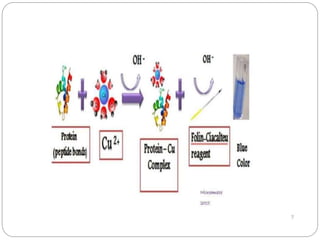 Lowery’s Protein Quantification method.pptx