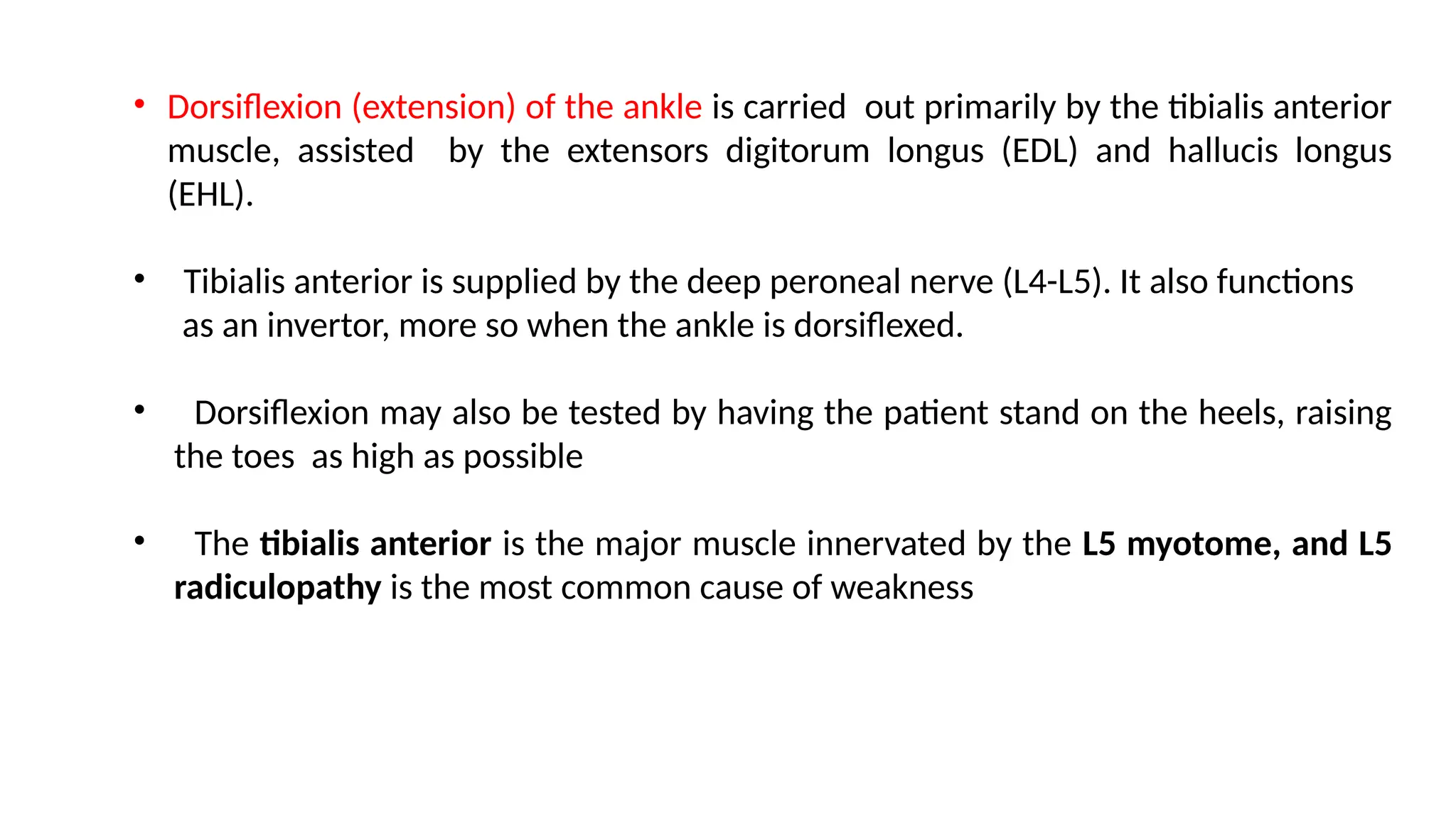 lowet limb muscle seminar by dr samay.pptx