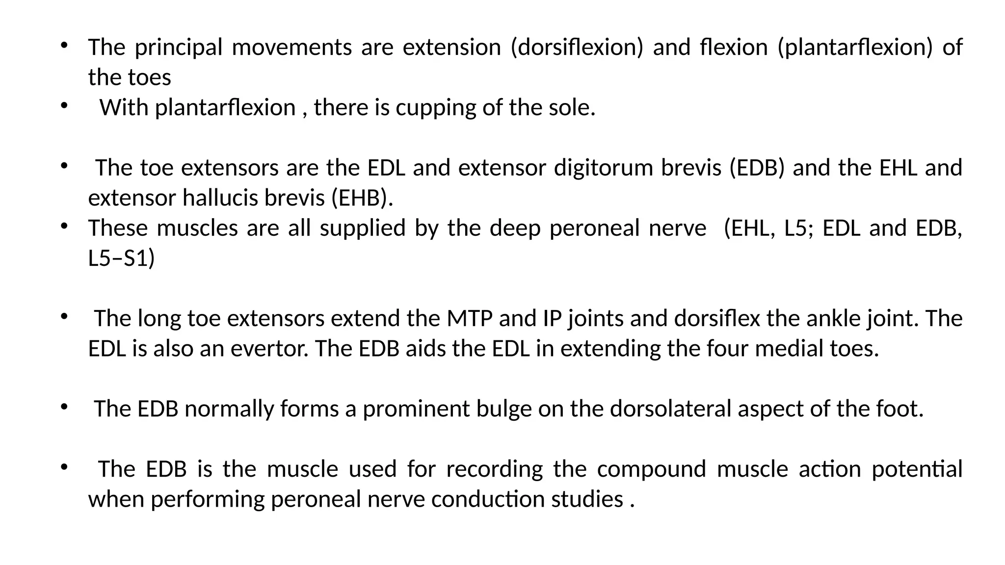 lowet limb muscle seminar by dr samay.pptx