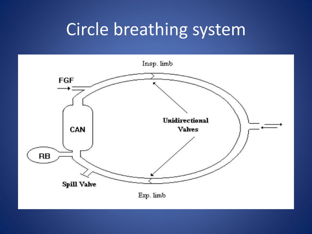 Low flow anesthesia | PPTX | First Aid | Injuries
