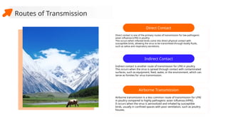 low pathogenic avian influenza in poultry.pptx