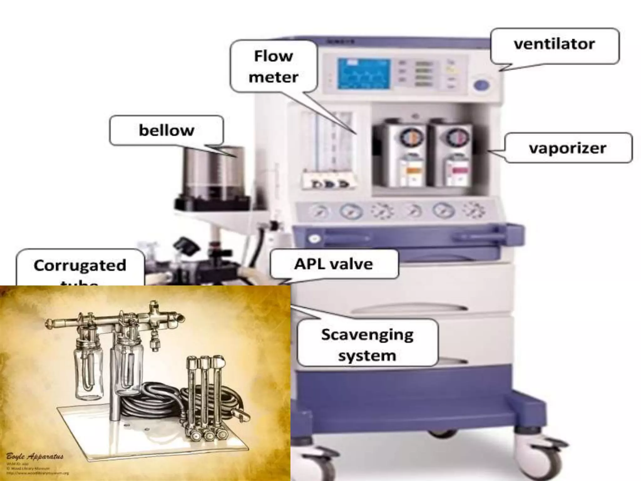 Low pressure system in anaesthesia machine | PPTX