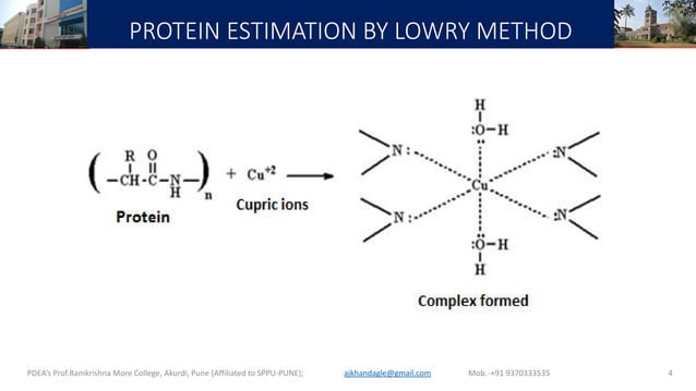 Lowry method for protein estimation