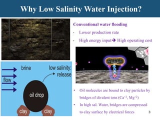 Low Salinity Water Injection by Shrinath Ghadge | PPTX