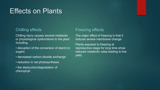 Low temp. stress | PPTX