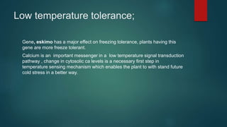 Low temp. stress | PPTX