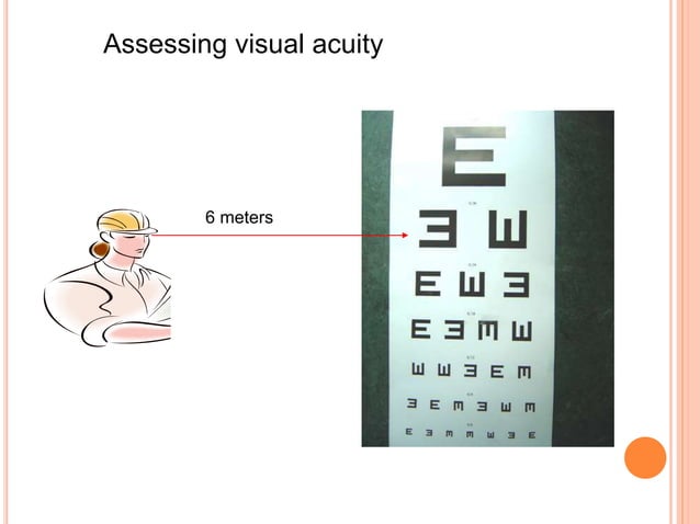 Low Vision and Blindness | PPTX | Eye and Vision Conditions | Diseases ...