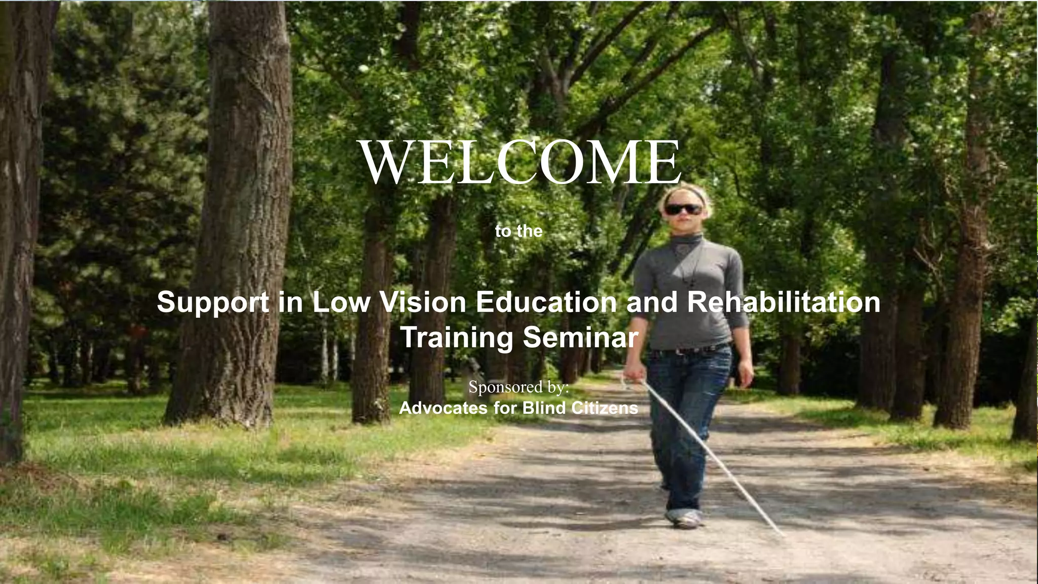 Low Vision Conference Presentation | PPTX
