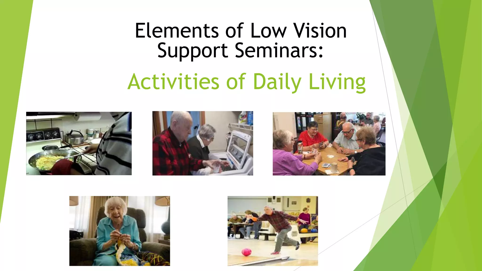 Low Vision Conference Presentation | PPTX